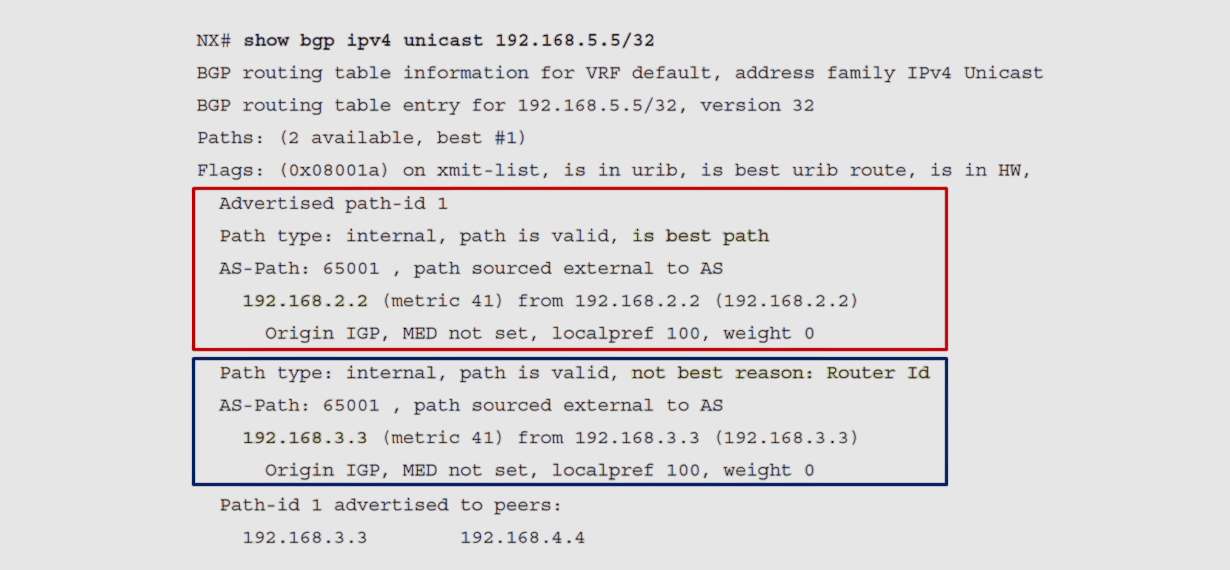 Master BGP Path Attributes: Your Ultimate Guide to BGP PA